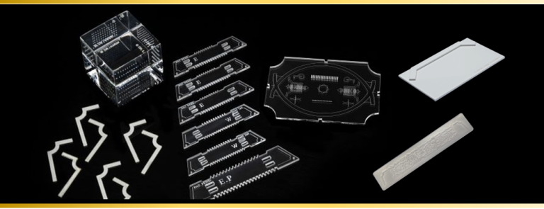 BioGeometry - Senses.Live